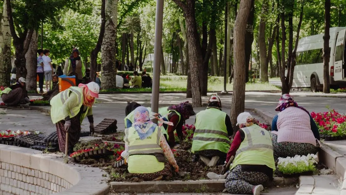 How to Make a Better Impact Volunteering in Your Community